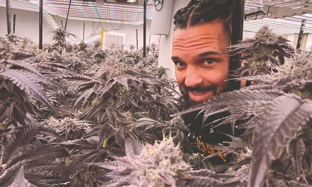 El jardín de las delicias de Maula, el cultivador oficial del trap ...